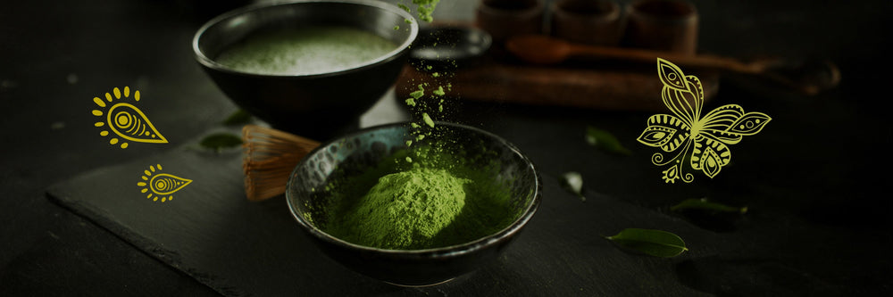 Matcha Shake | Adalbert's Tea